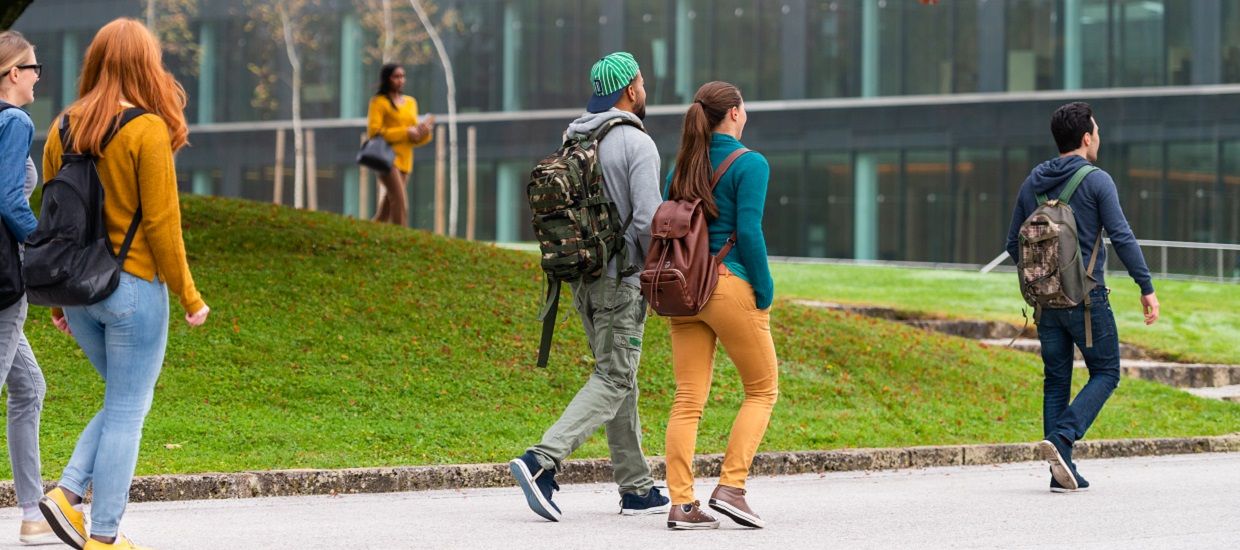 The benefits of working as an international student